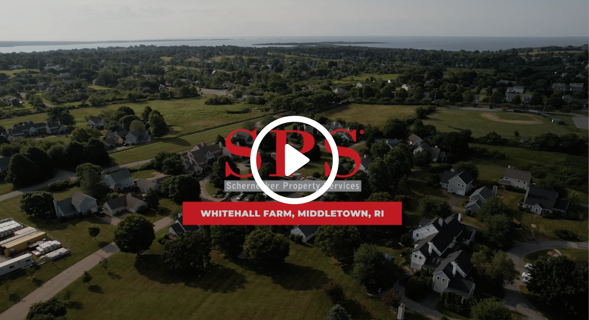 Client Success Videos